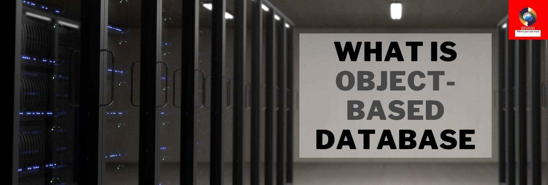 What Is Object Based Database Biyani Institute Of Science And Management For Girls